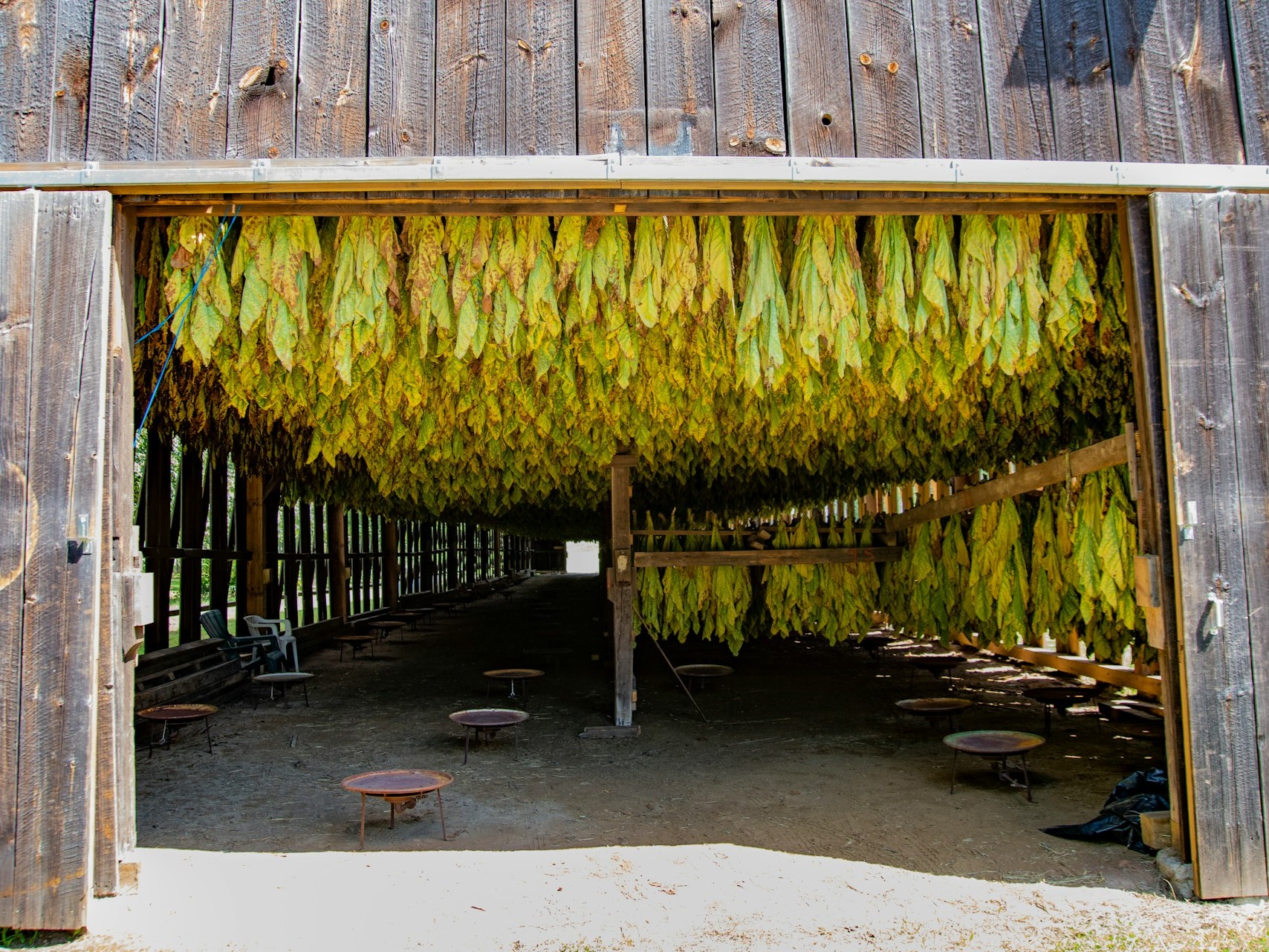 Understanding the different types of cigar tobacco - The BS Lounge